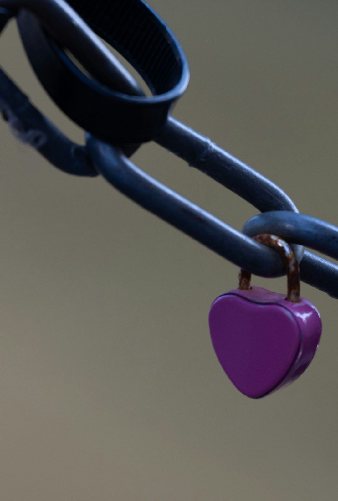 Emoji corazón morado: significado y usos comunes