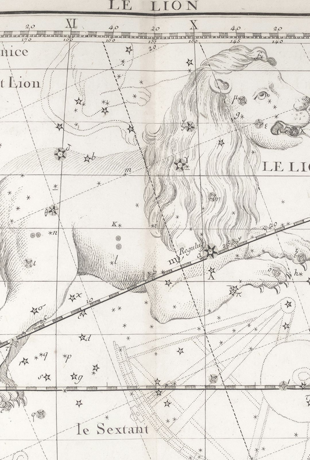 Leo: personalidad, características y compatibilidad del signo