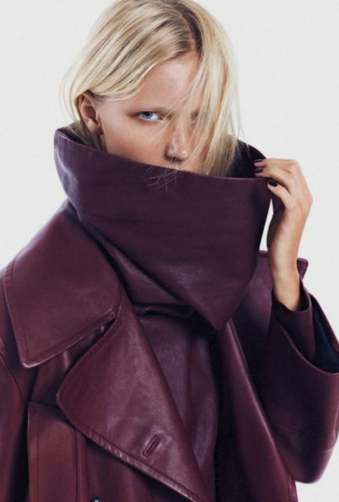 Color Plum: significado y cómo usarlo