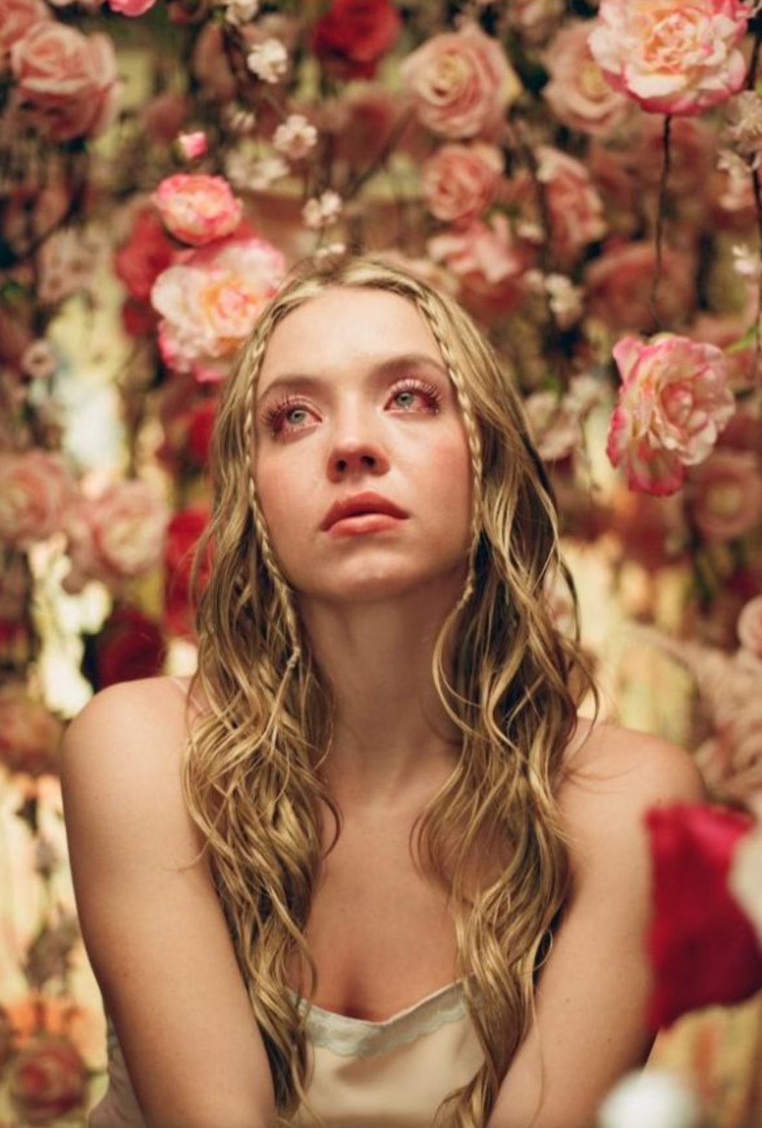 Addison Rae: Biografía de la influencer, Cantante y Actriz